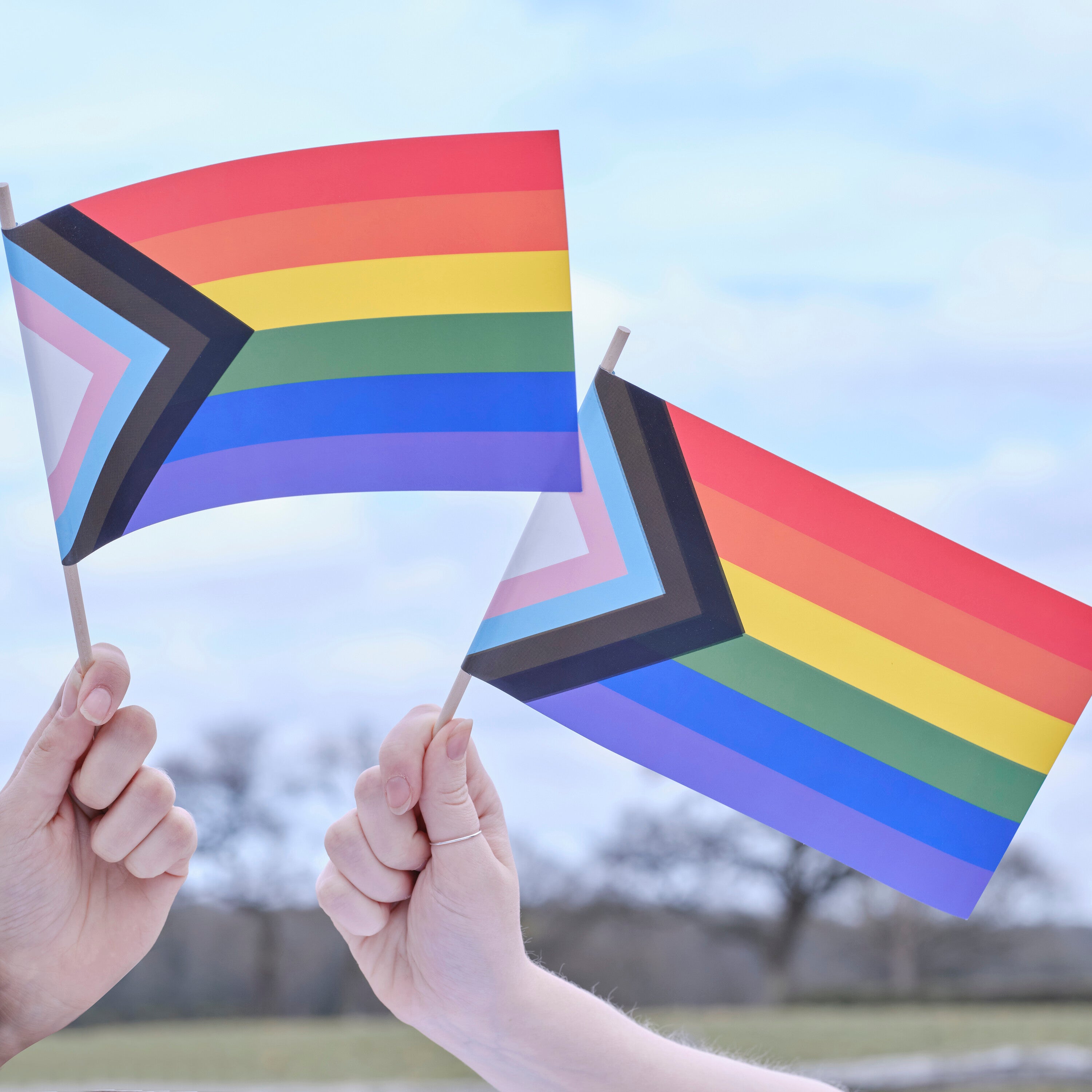 Handheld Pride Flag – Ginger Ray