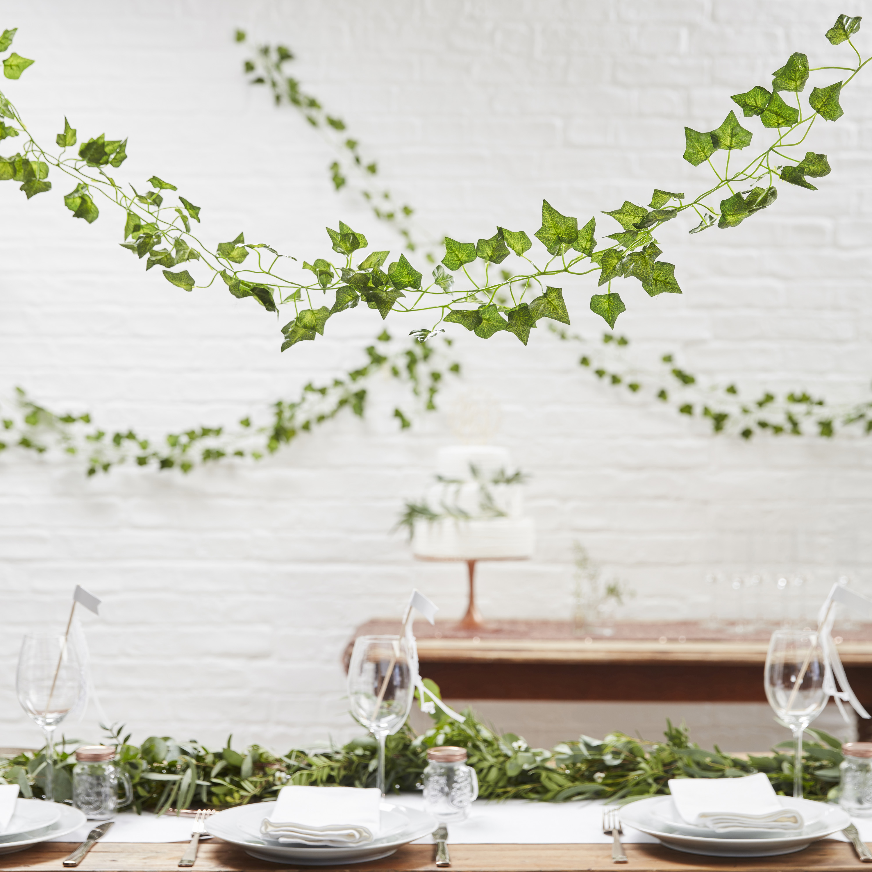 Botanical Vine Garland Party Decoration | Ginger Ray | Ginger Ray