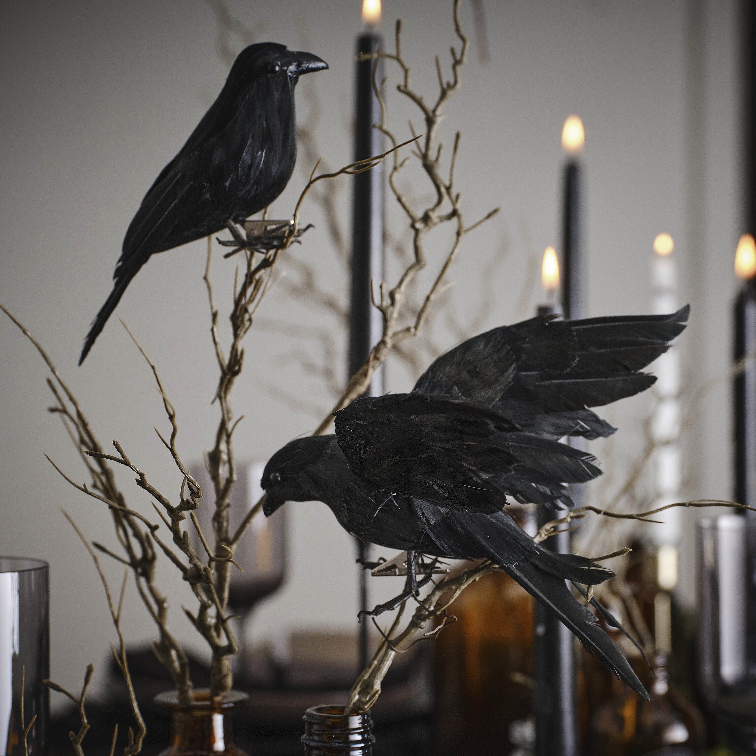 Black Crow Halloween Decorations | Ginger Ray