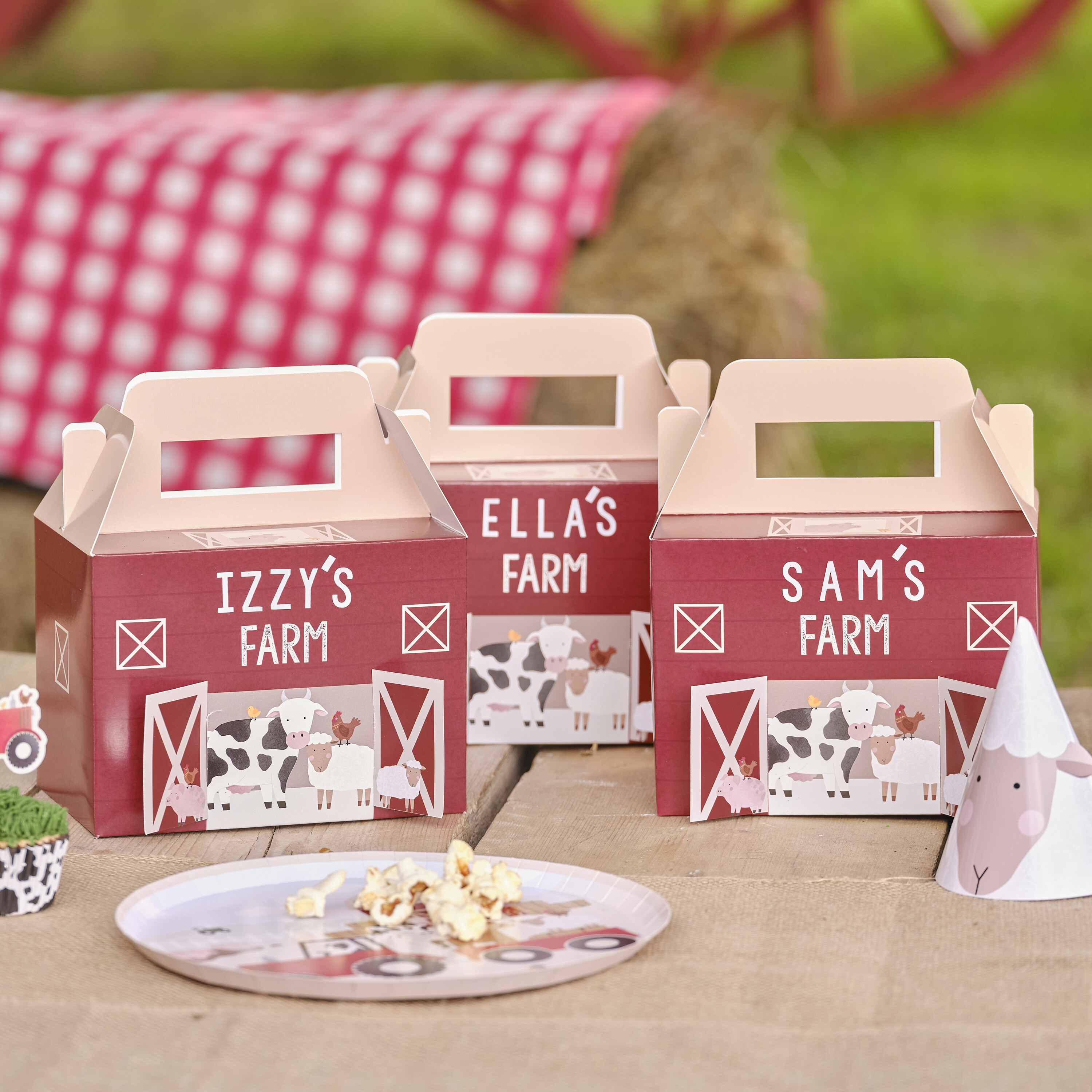 Customisable Barn Party Box | Ginger Ray
